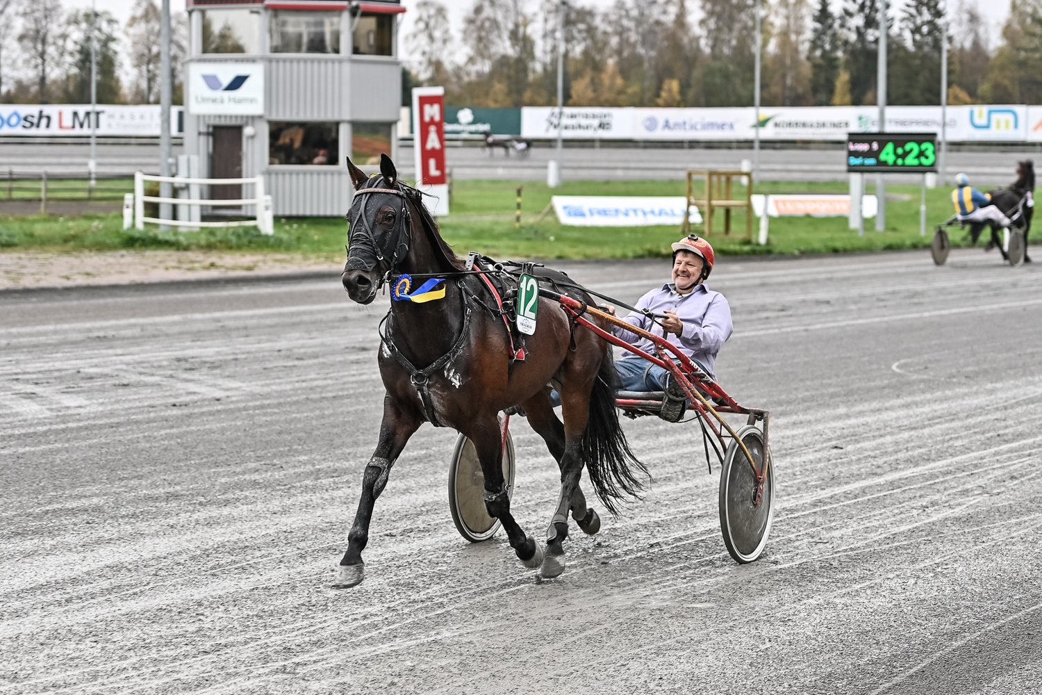 Andra raka för Arpi Broline