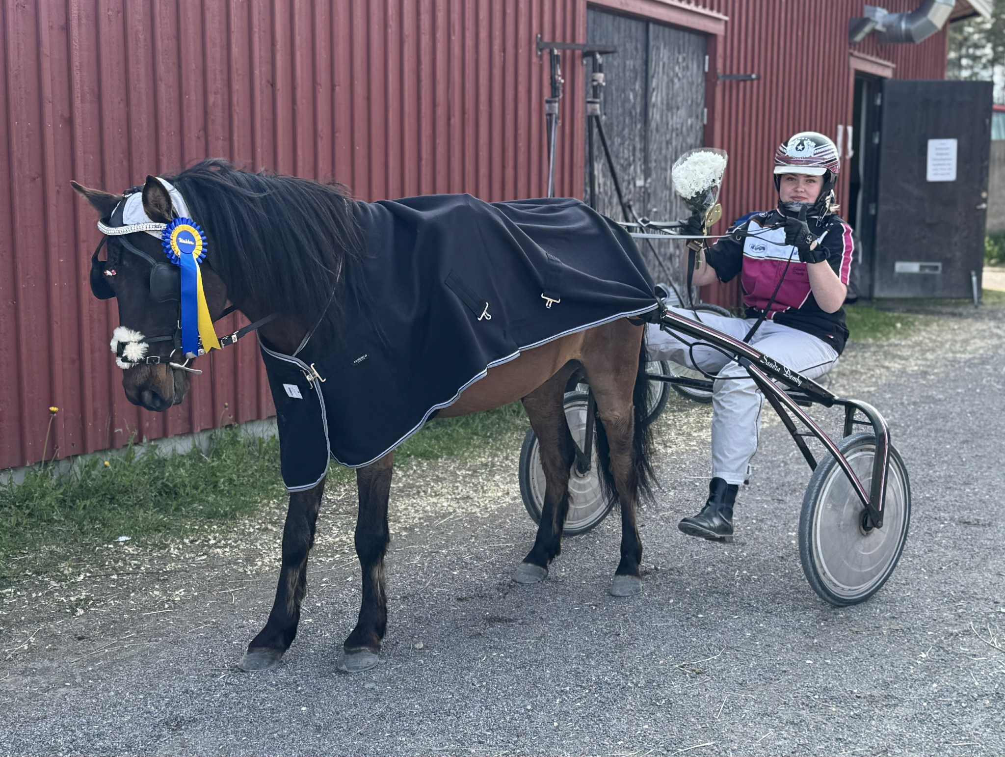 Ponnytrav på hemmaplan