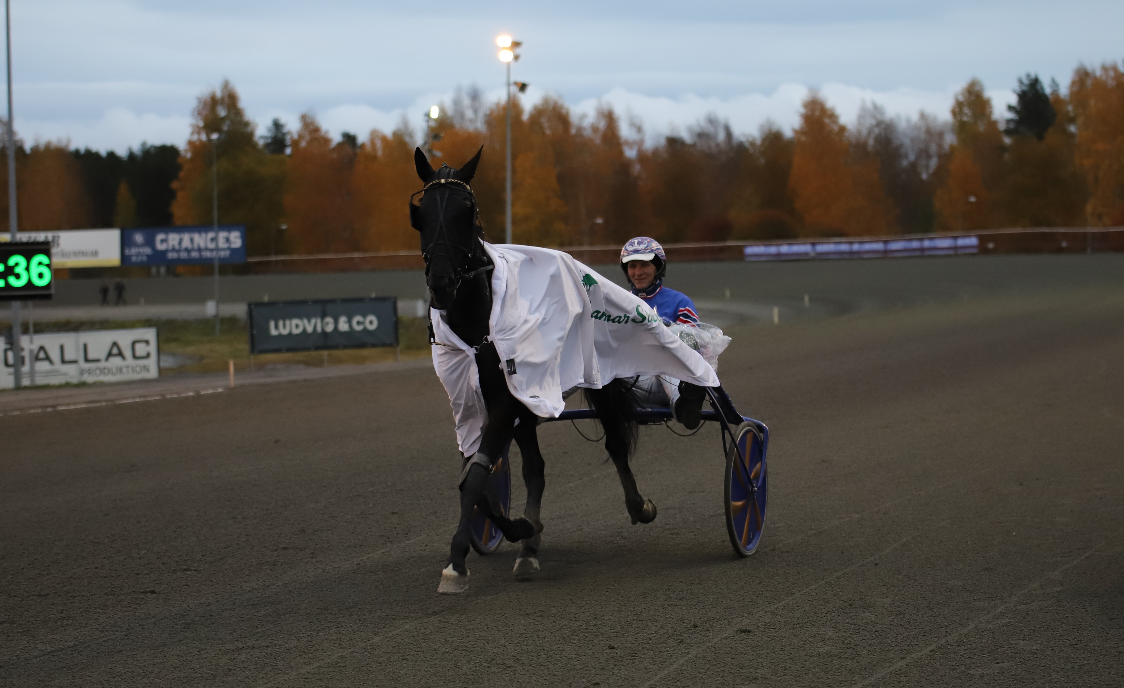 Twigs Intense STL-segrade!