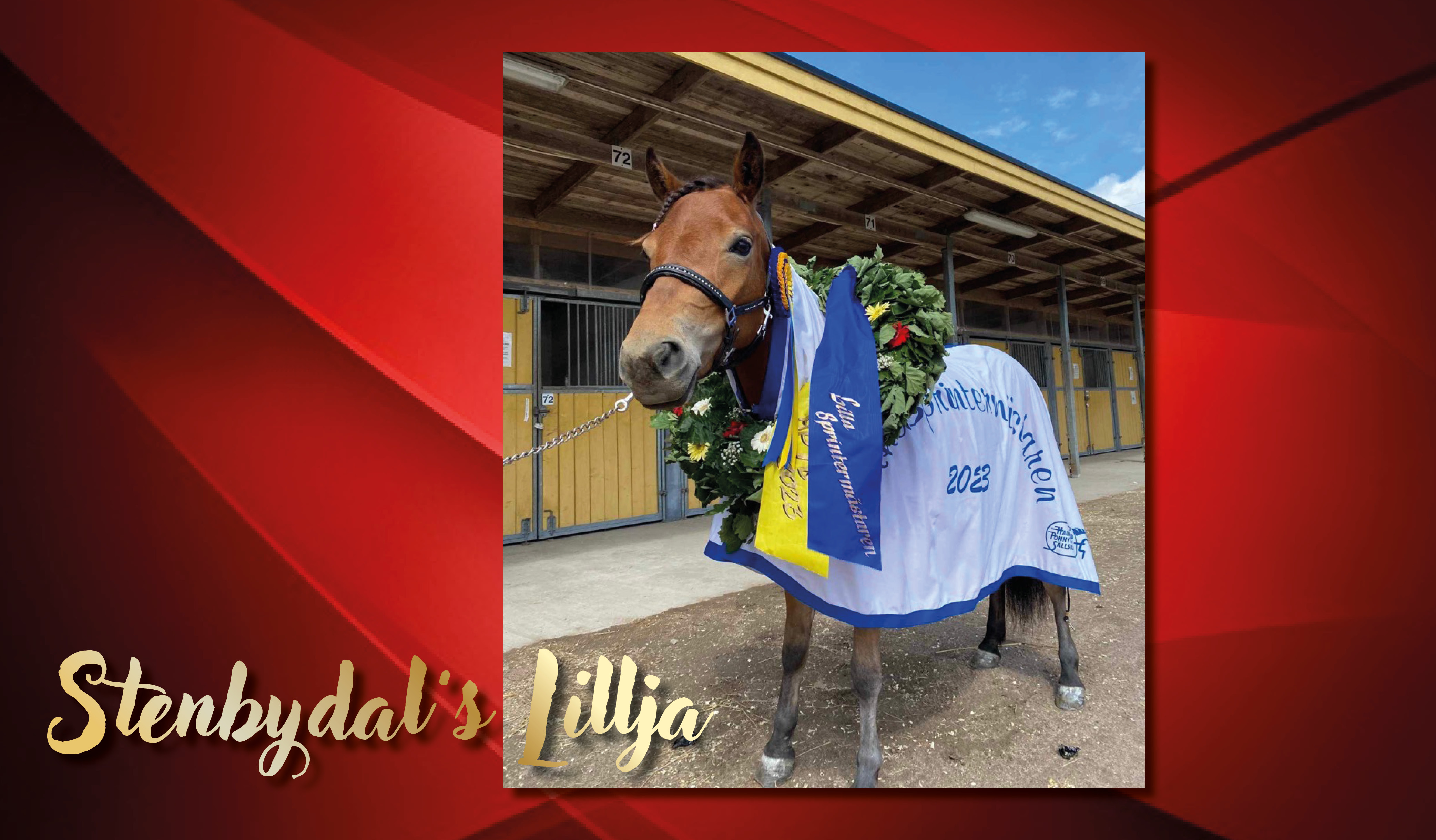 Seger i Lilla Sprintermästaren 2023